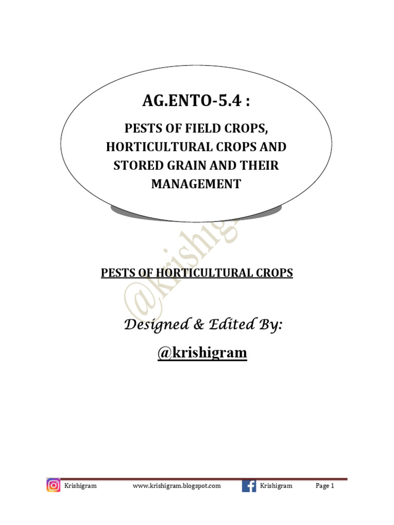 Ento 6.5 | PDF | Ant | Insects