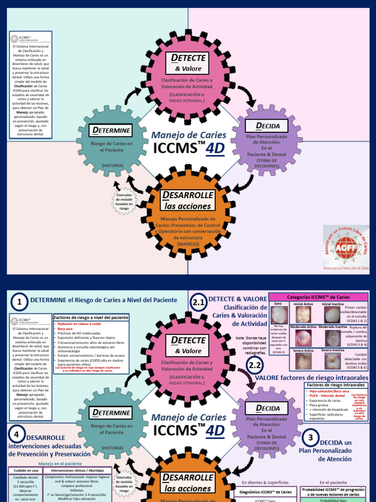 4D - ICCMS - Espanol - Mayo-201 7 | PDF | Odontología | Higiene oral