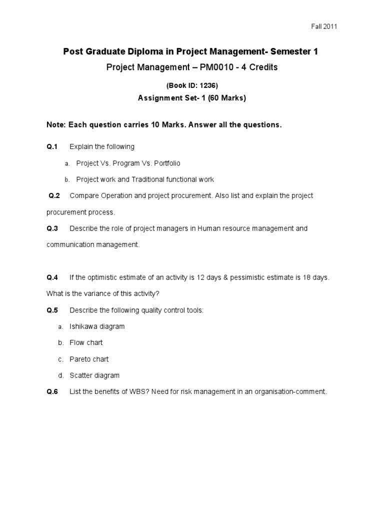 Project Management Assignment Overview | PDF
