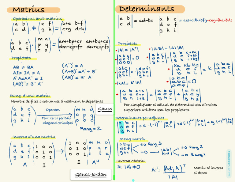 Esquema Matrius I Determinants | PDF