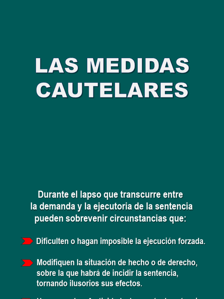 Medidas Cautelares (En Gral.) | PDF | Mandato | Sentencia (ley)