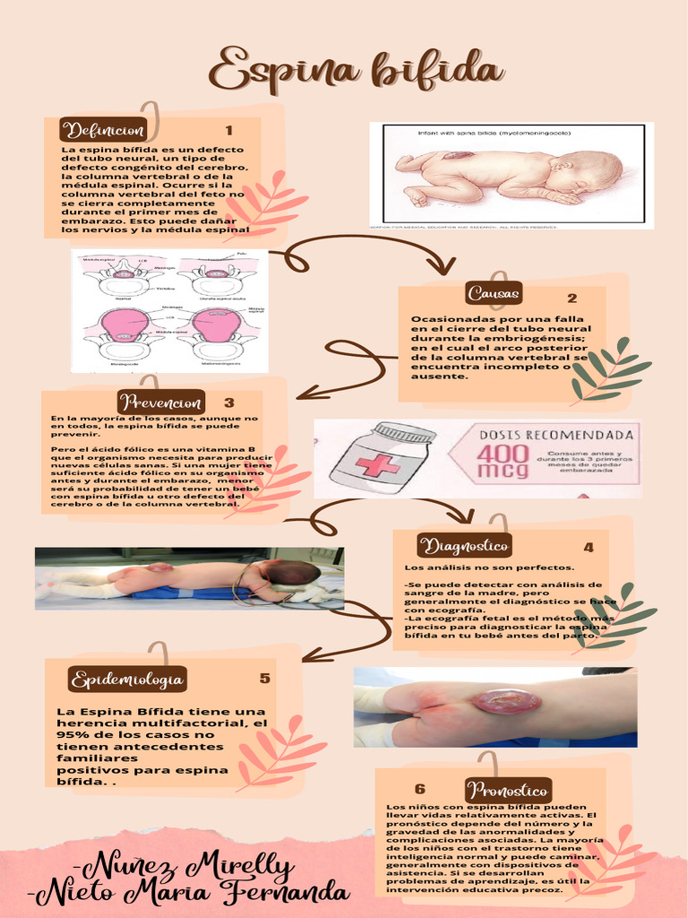 Espina Bifida: Definición y Prevención | PDF | Medicina CLINICA ...