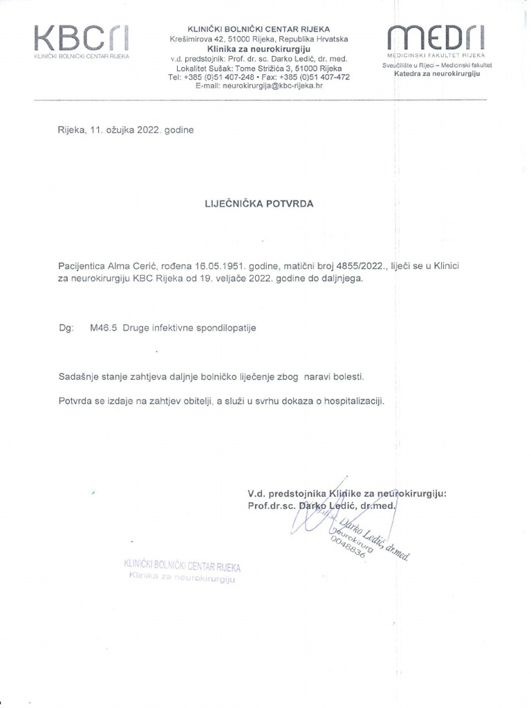 Alma Cerić | PDF