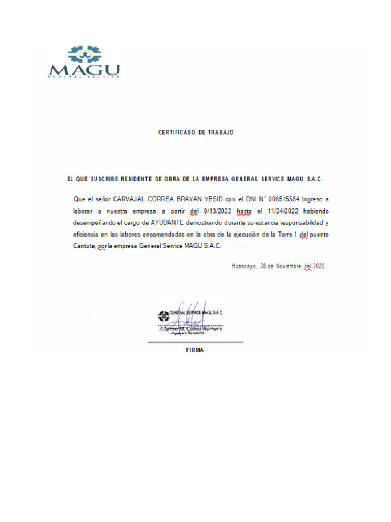 1CV. Brayan Carvajal | PDF