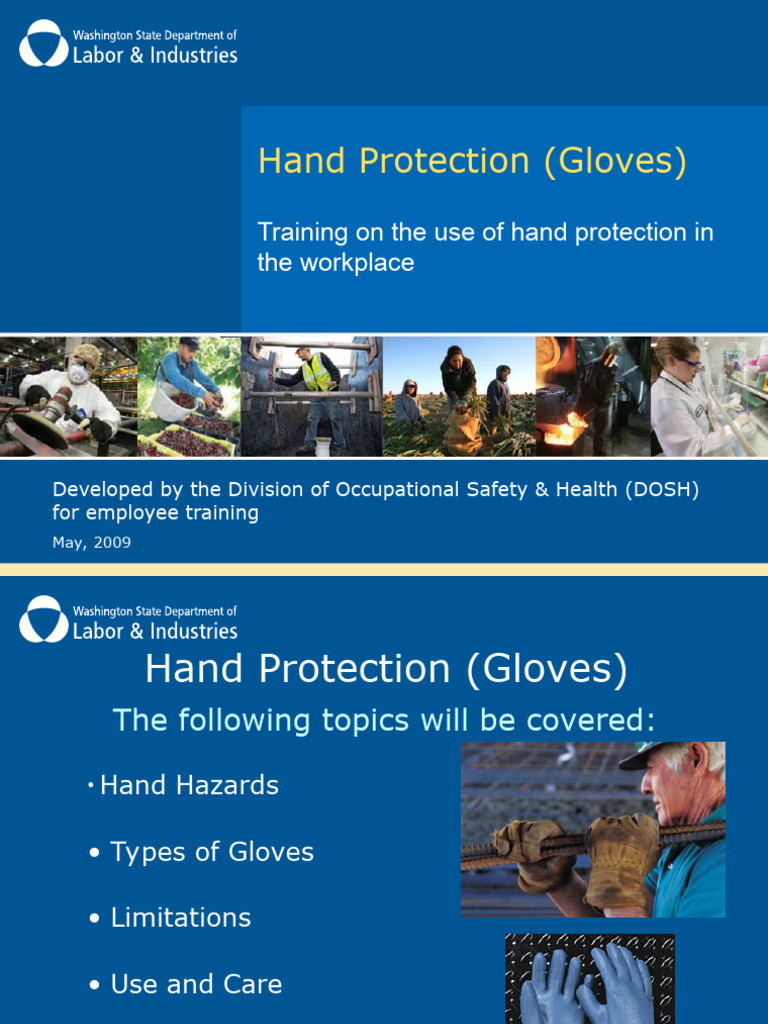 Gloves | PDF | Glove | Dermatitis