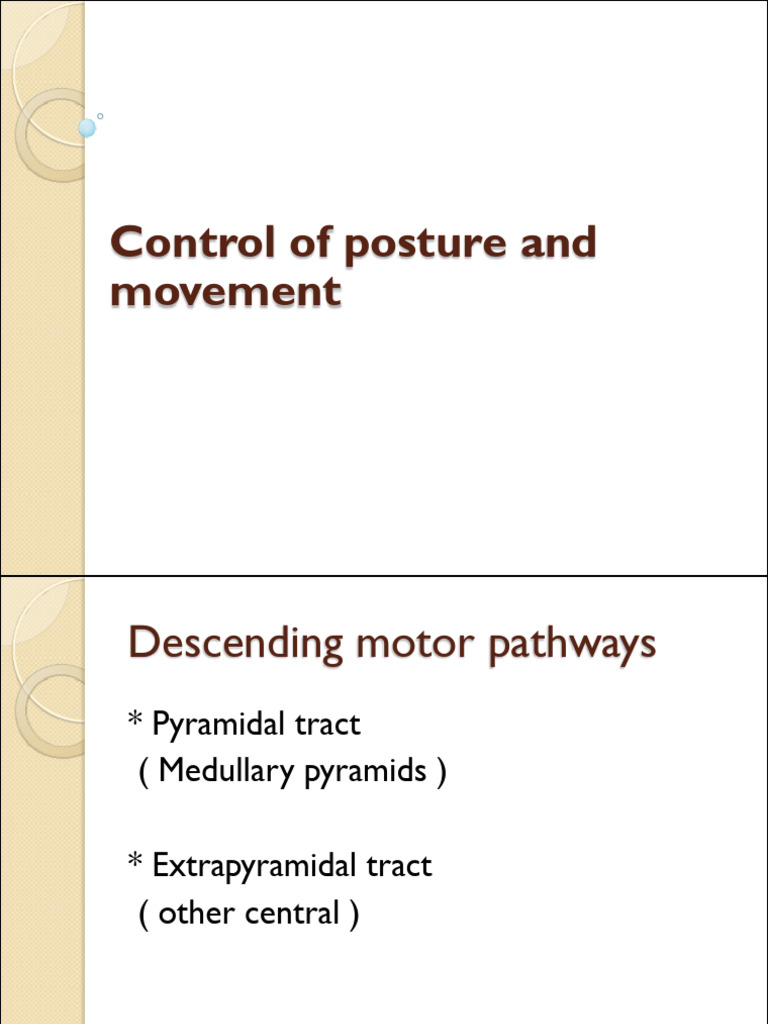 Control of posture and movement | PDF