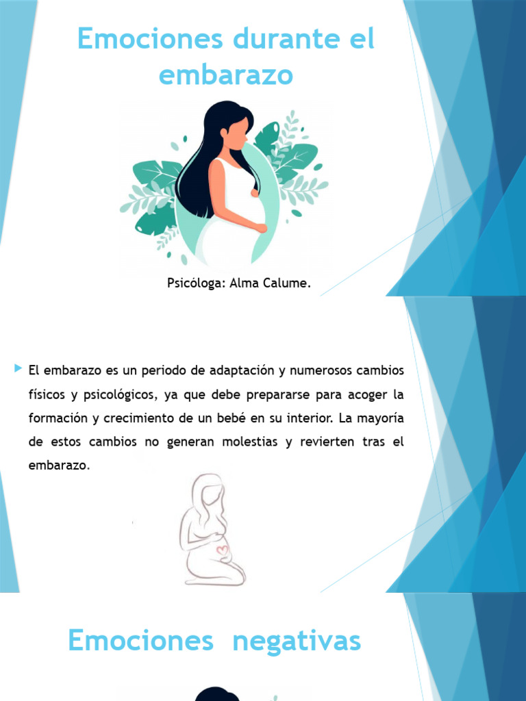 Emociones Durante El Embarazo Pdf Ansiedad Las Emociones