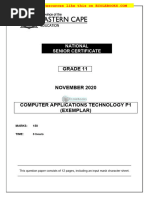 CAT Practical Past Paper (TERM1) | PDF | Paragraph | Spreadsheet