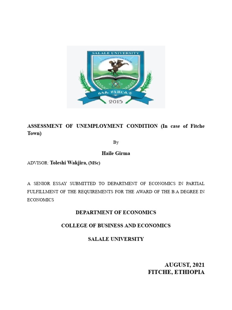 Unemployment Assessment in Fitche Town | PDF | Unemployment | Labour ...