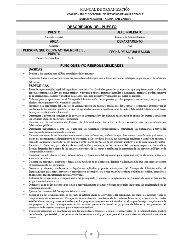 Gerencia General - Descriptor de Puestos | PDF | Gestión de recursos humanos | Planificación