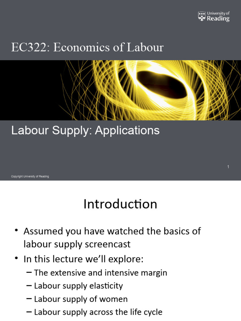 Ec322 Labour Supply | PDF | Labour Economics | Unemployment