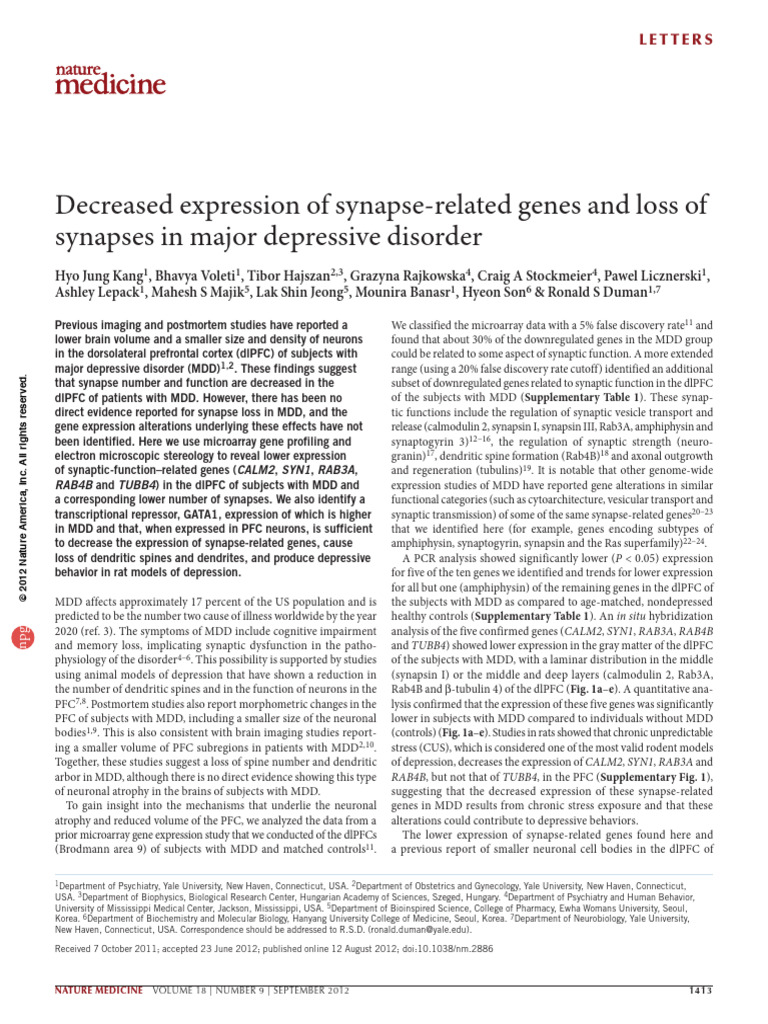 GATA1 Depression | PDF | Synapse | Chemical Synapse