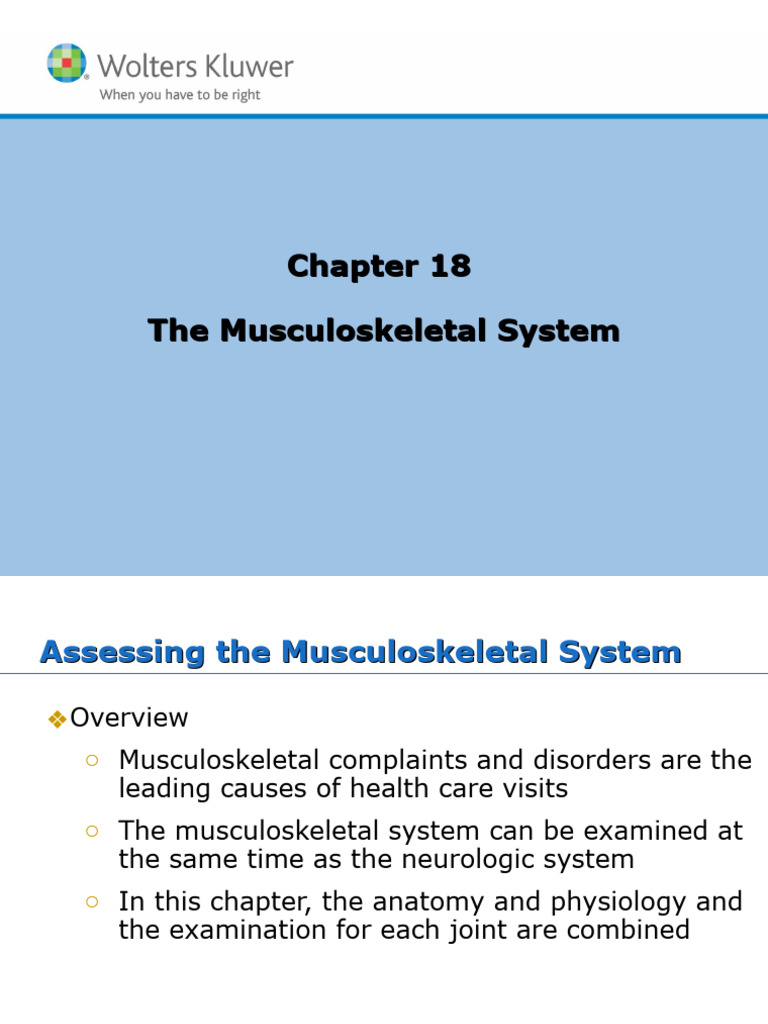 Chapter 18 | PDF | Foot | Anatomical Terms Of Motion