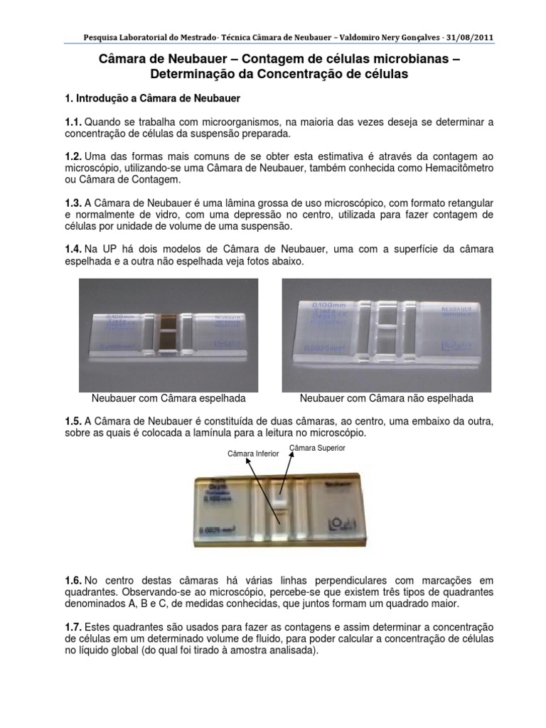 Contagem de Células na Câmara de Neubauer | PDF | Célula (Biologia ...