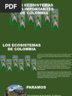 Ecosistemas Principales de República Dominicana - Tipos ...