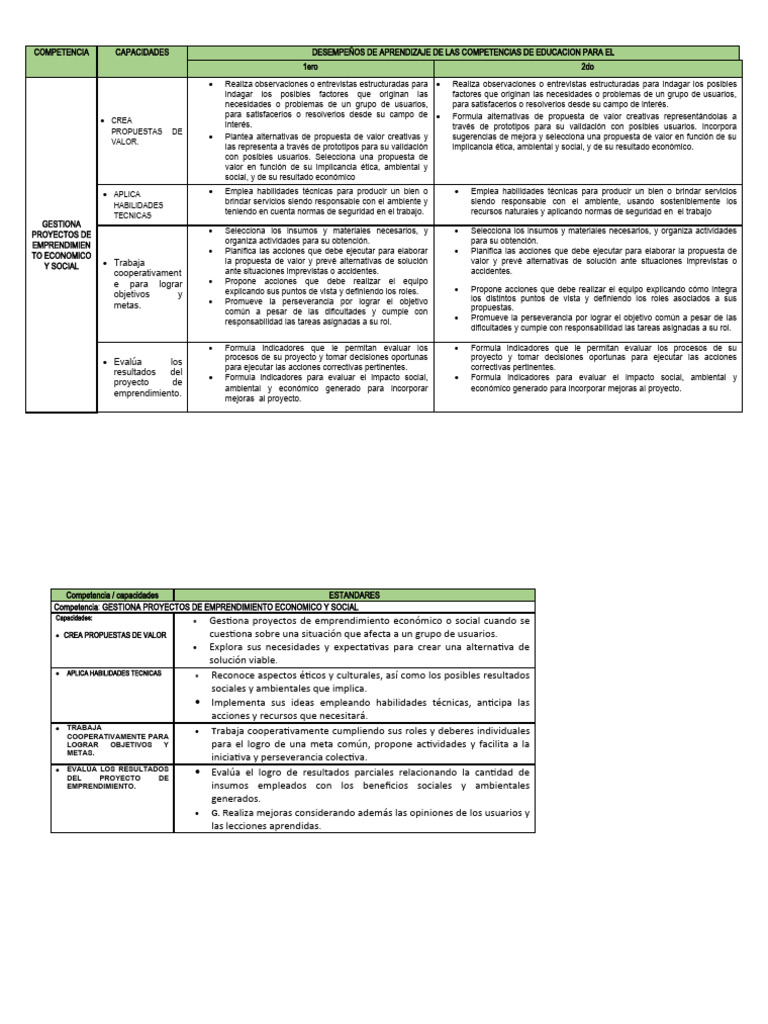 Competencia, Capacidad y Desempeño Del Ept | PDF | Iniciativa empresarial | Economias