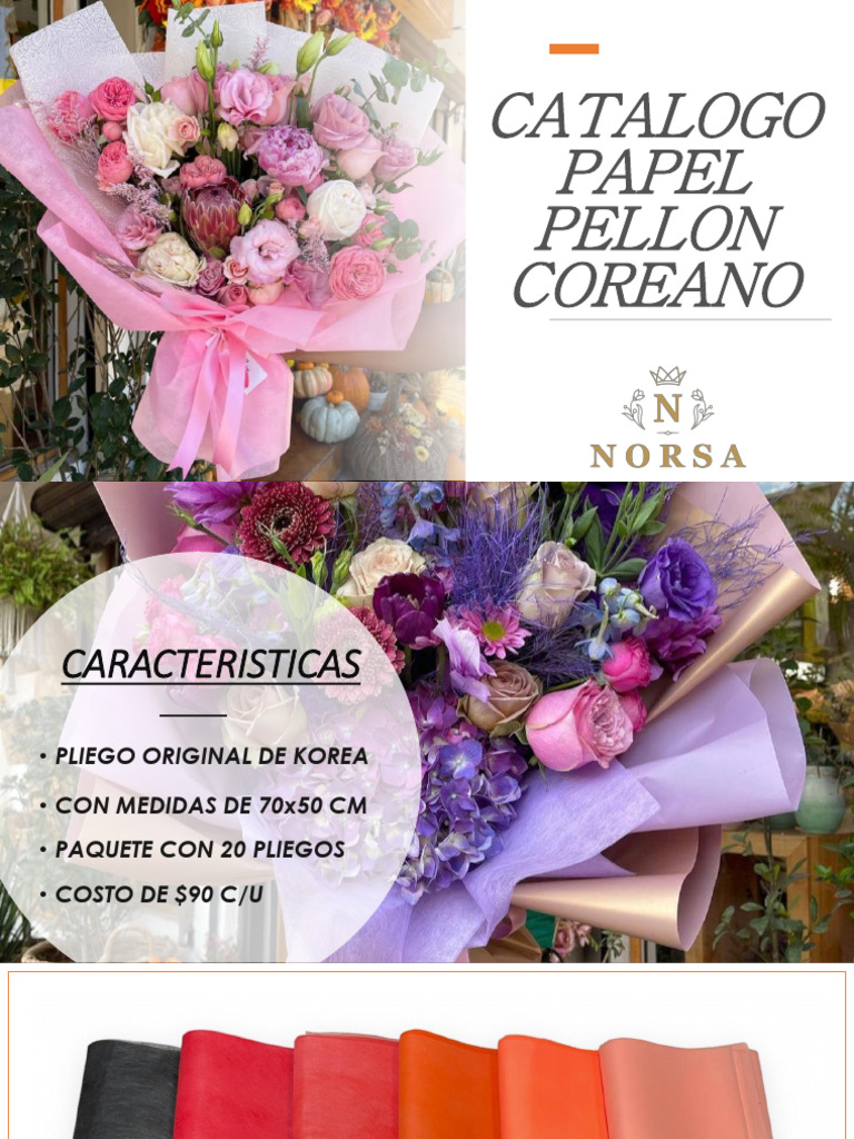 Catálogo de Papel Coreano 70x50 cm | PDF