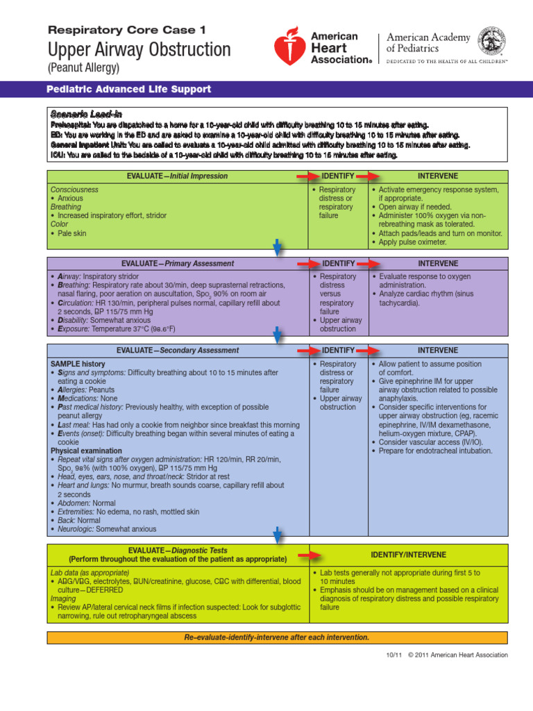 Respiratory Core Case 1 Upper Airway Case Scenario Cardspdf Respiratory ...