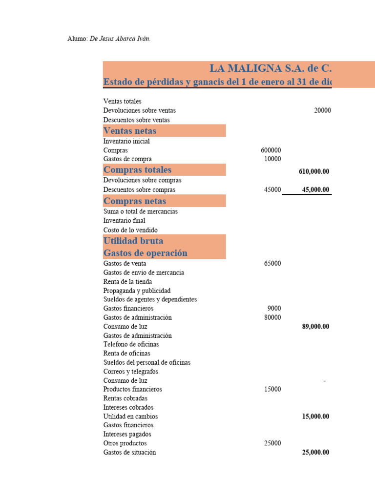 Balance y Edo de Resultados Final | PDF | Hoja de balance | Negocios económicos