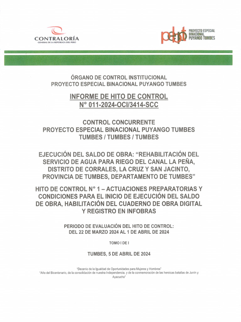 Hito 1 Informe La Peña PEBPT | PDF