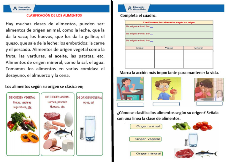 Ficha de Ciencia y Tecnologia Clasificación de Los Alimentos Segun Su Origen 22 de Abril | PDF