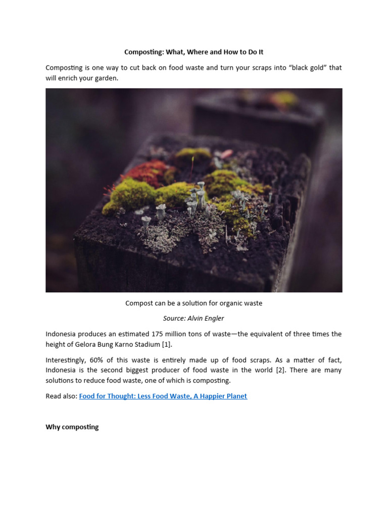 Composting Basics: Reduce Food Waste | PDF | Compost | Waste