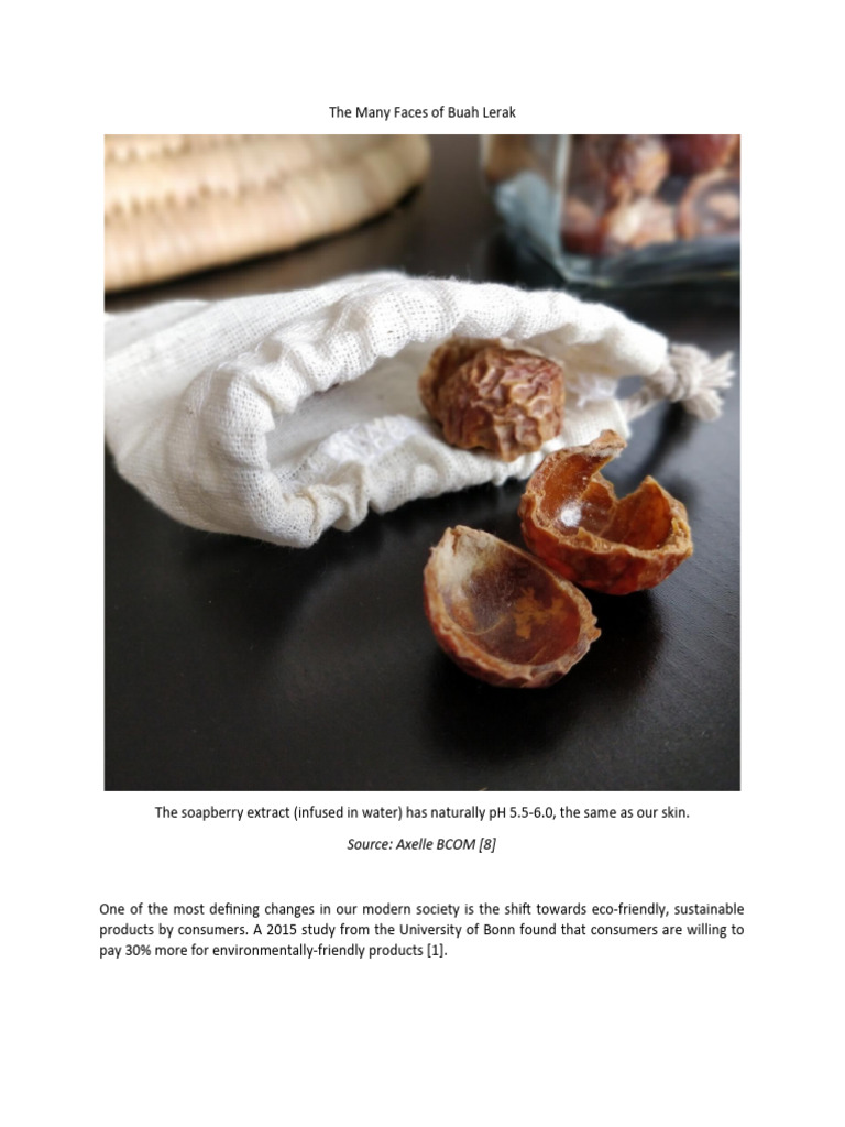 Lerak, The Fruit That Saved Environment | PDF