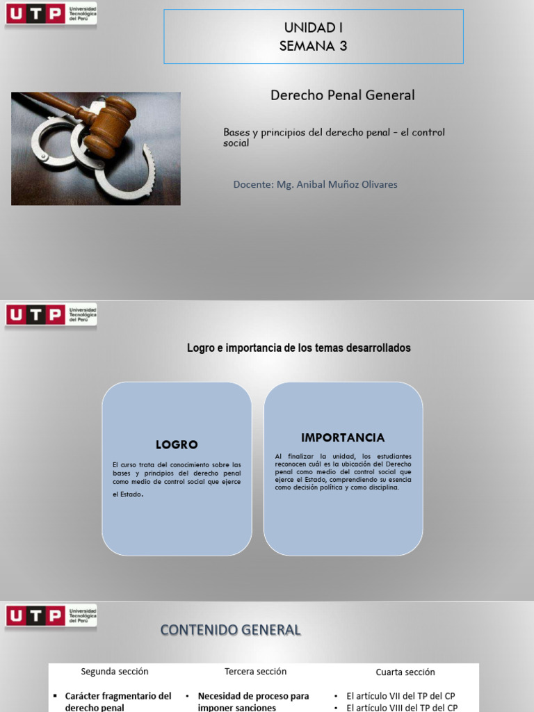 S03 S2 Principios Del Derecho Penal Pdf Derecho Penal Castigos