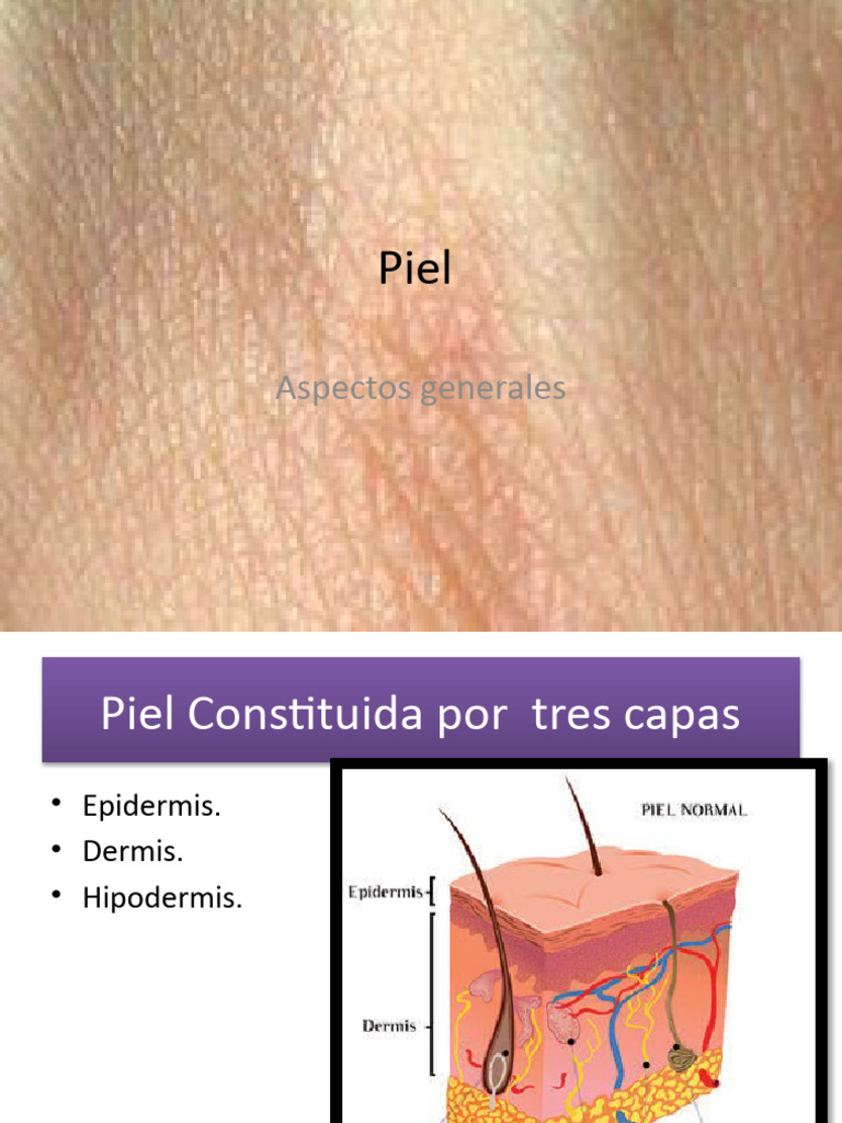 Piel Pdf