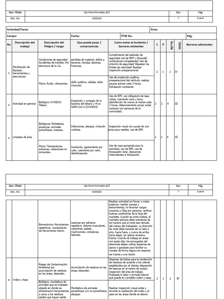 Formato AST Act. Roceria | PDF