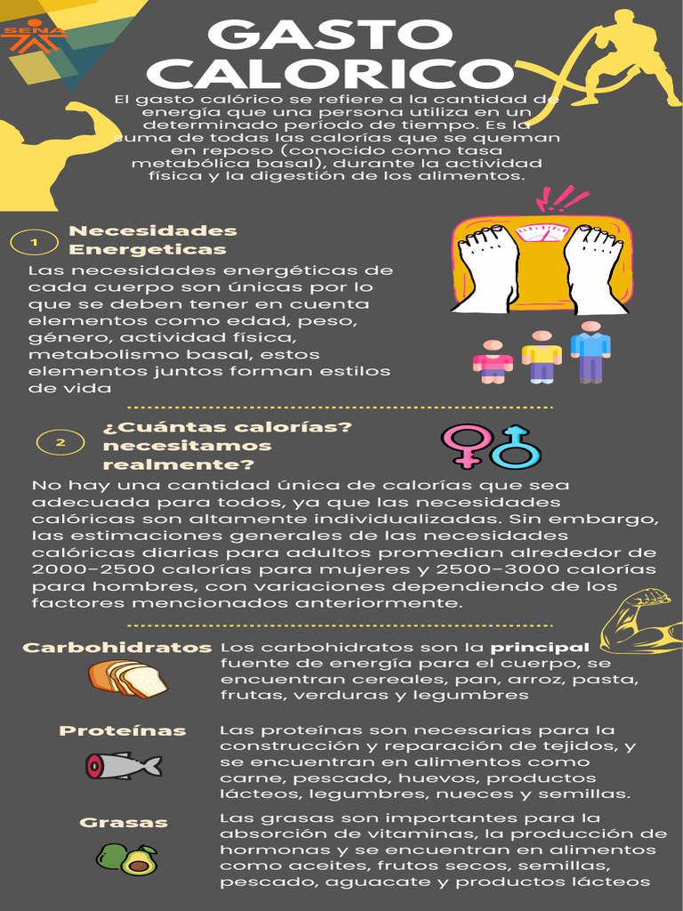 Infografía Plan De Higiene Y Gasto Calórico Ga6 230101507 Aa2 Ev01