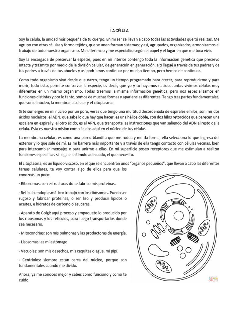 Cuento La Célula | Descargar gratis PDF | Bioquímica | Química