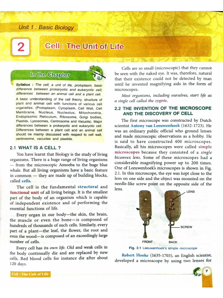 Cell Class 9 (Selina) | PDF