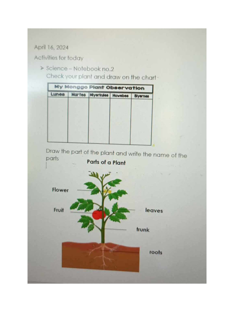 Activities Nina | PDF