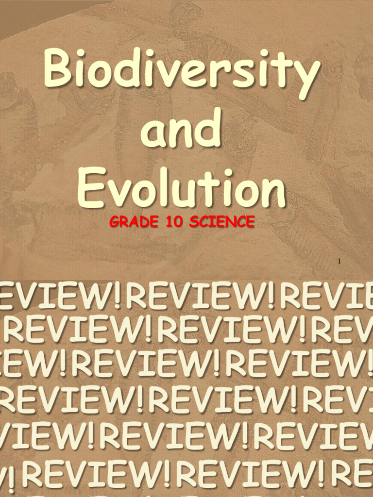 Evidence of Evolution | PDF | Evolution | Fossil