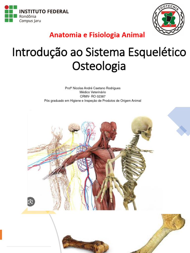 Aula 2 - OSteologia | Download grátis PDF | Osso | Corpo humano