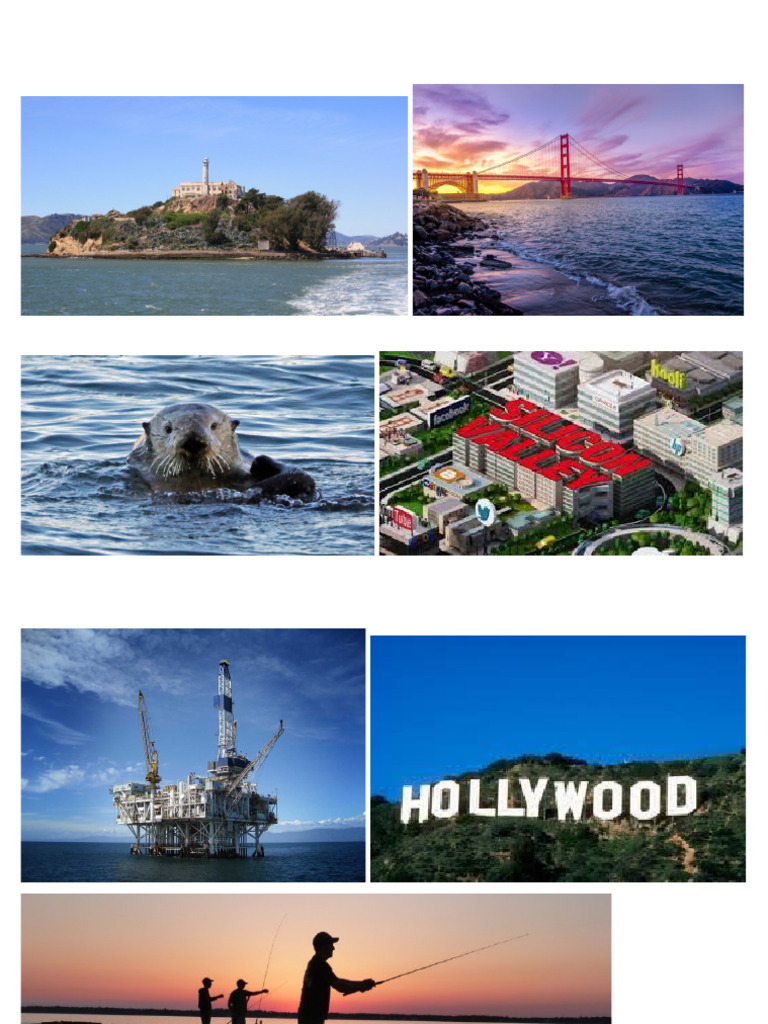 Picture Print | PDF