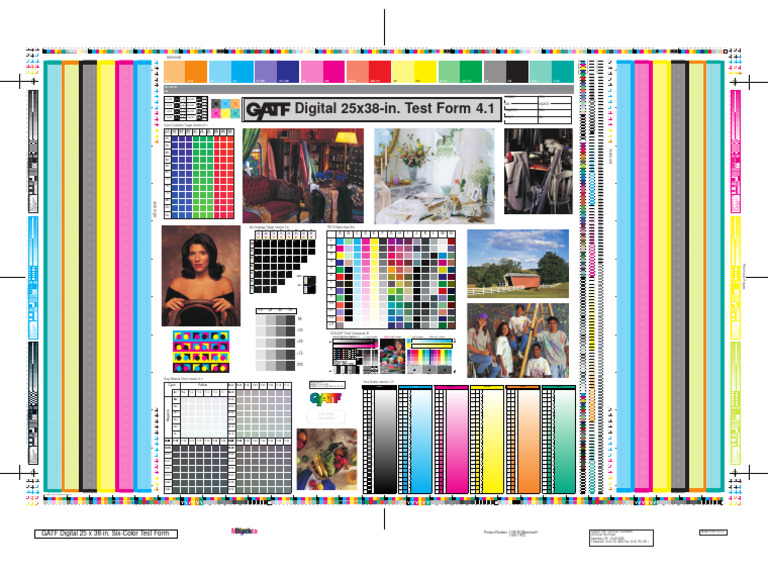 Digital 25x38-In. Test Form 4.1: Magenta | PDF