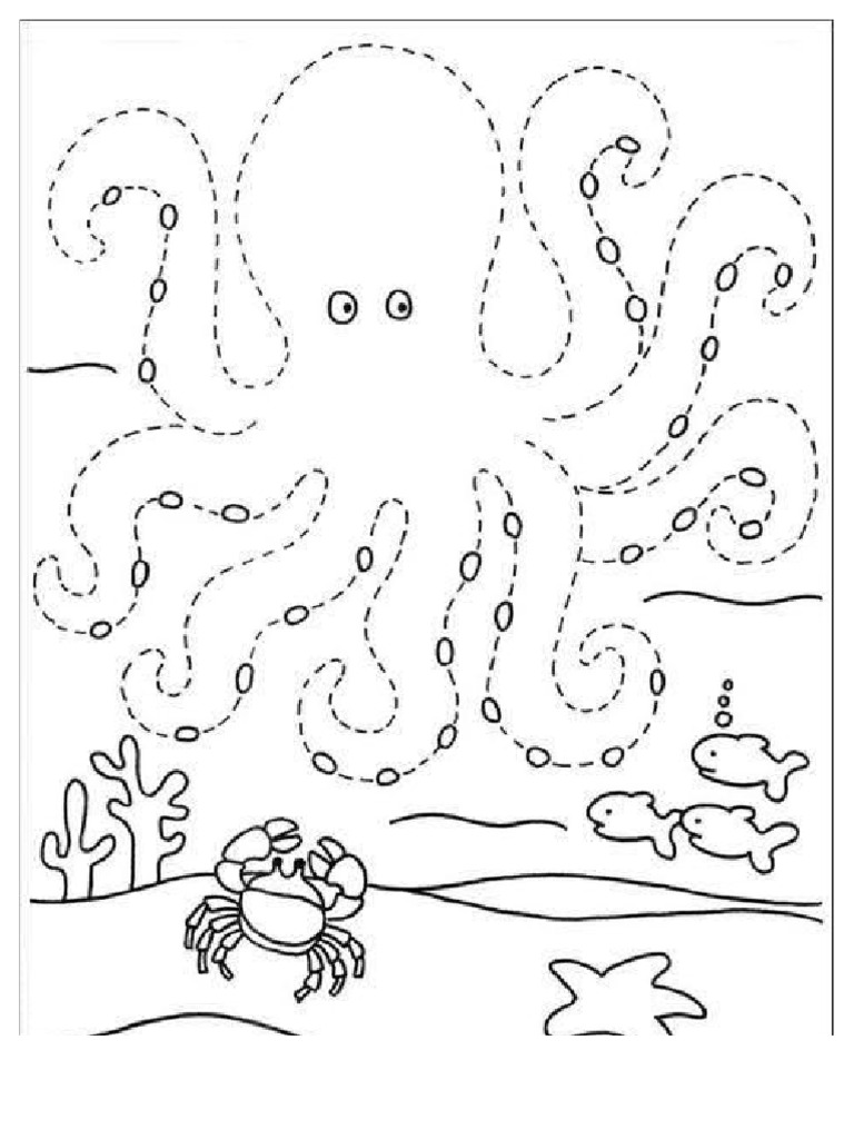 Sea Animals | PDF