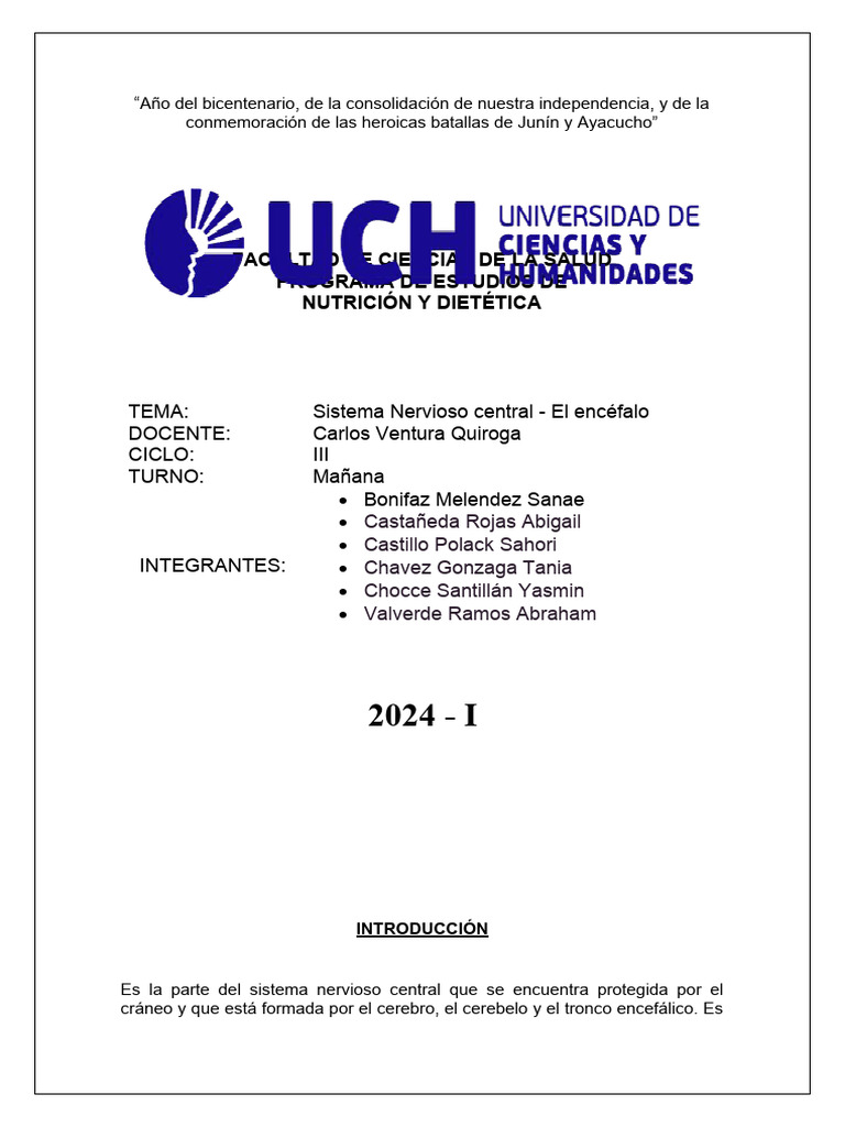 Informe Del Encefalo Morfo | PDF | Cerebro | Glándula pituitaria