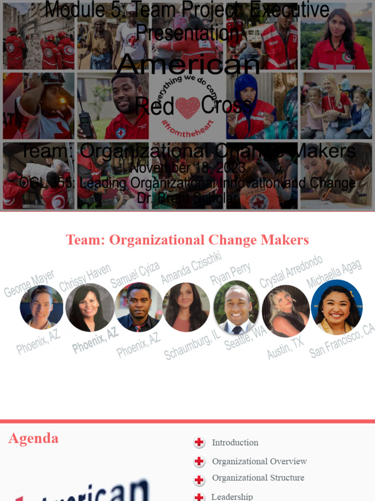 American Red Cross SWOT Analysis | PDF | Supply Chain | Swot Analysis