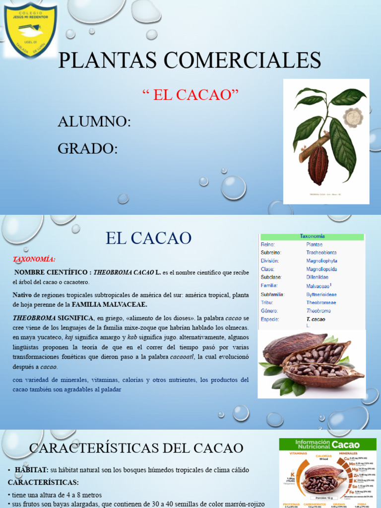 PLANTAS COMERCIALES Final | PDF | Cocina, comidas y vino | Hogar ...