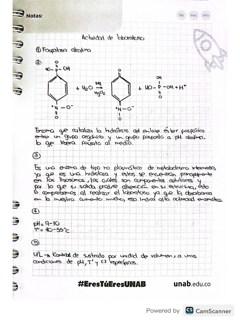 Actividad Lab Enzimas | PDF