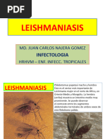 Prueba de Montenegro en Leishmaniasis | PDF | Sistema inmune ...
