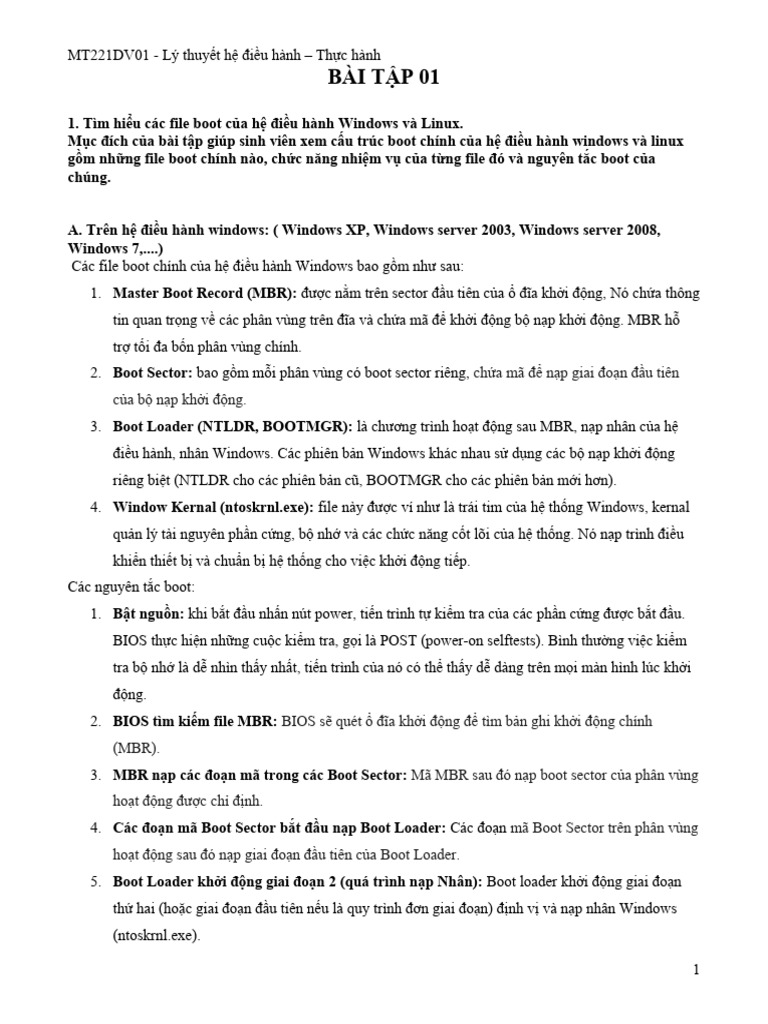 VoTuanHuy LTHDH TH01 v2 | PDF