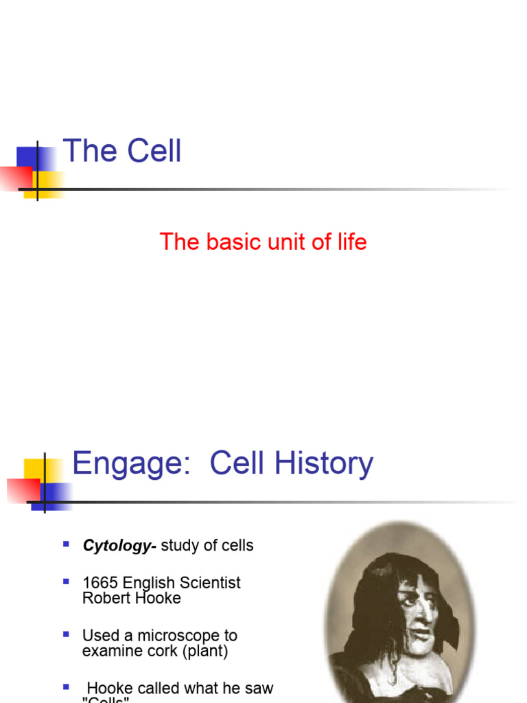 Module 1 (BioChem) | PDF | Cell (Biology) | Endoplasmic Reticulum