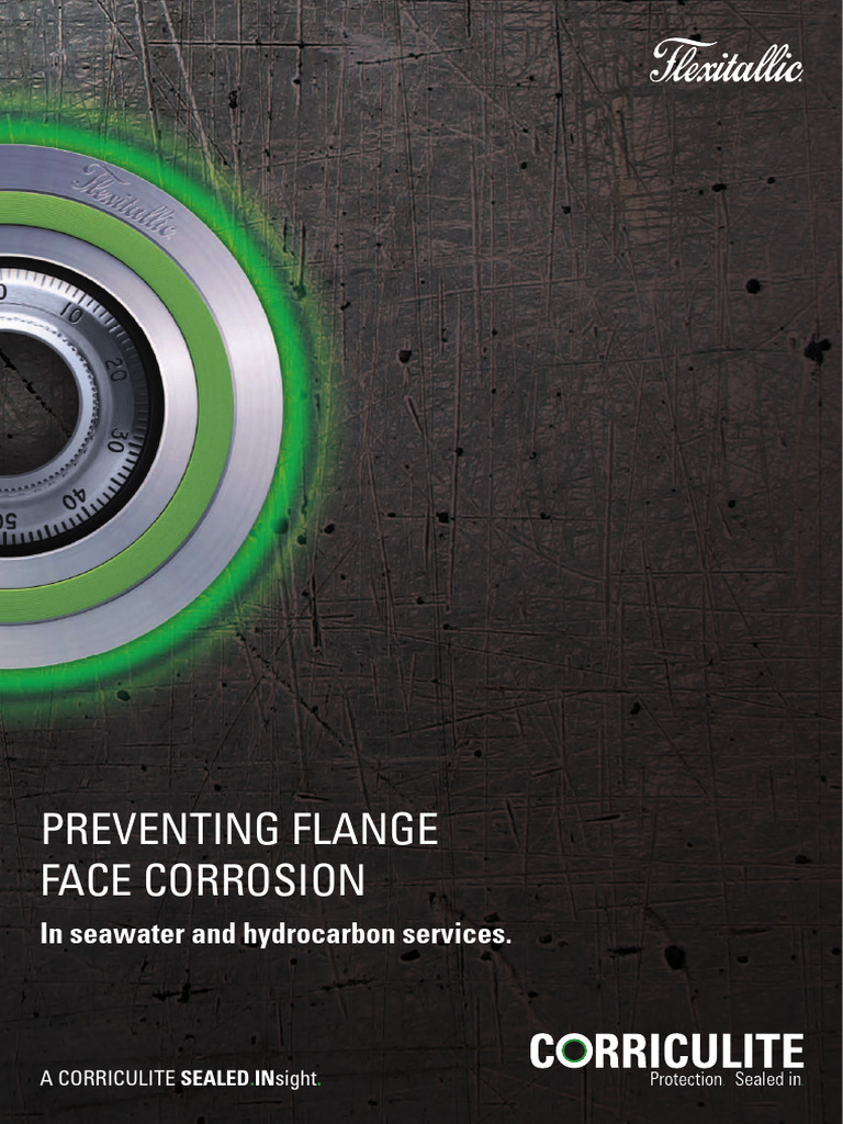 Corriculite Whitepaper | PDF | Corrosion | Graphite