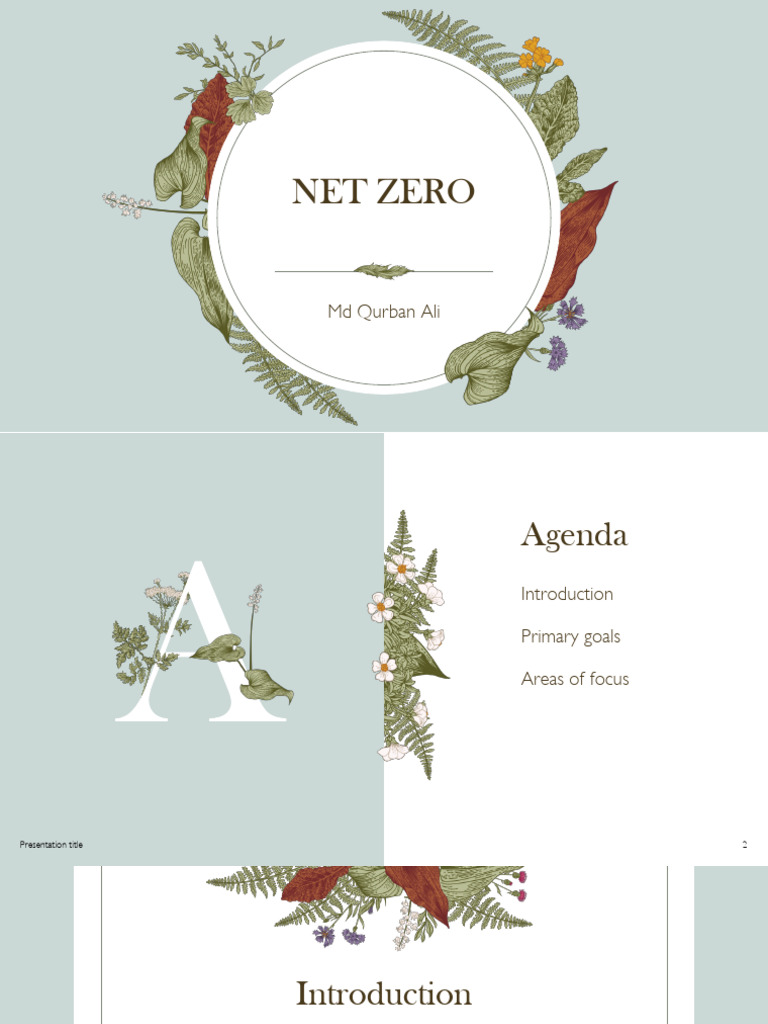 NET ZERO | PDF | Climate Change Mitigation | Climate Change