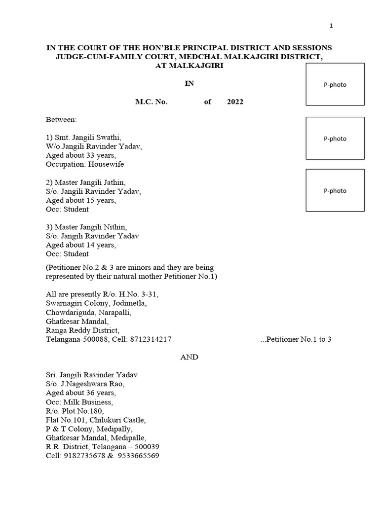 Sample of Plaint | PDF | Expense | Affidavit