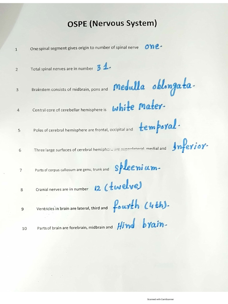 Anatomy OSPE PDF | PDF